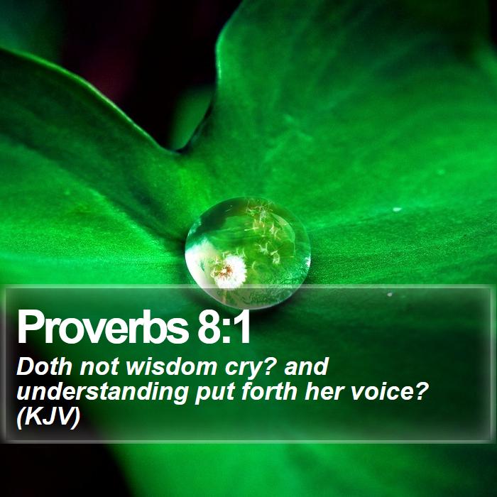 Bible Verse Of The Day Daily Scripture Daily Devotions